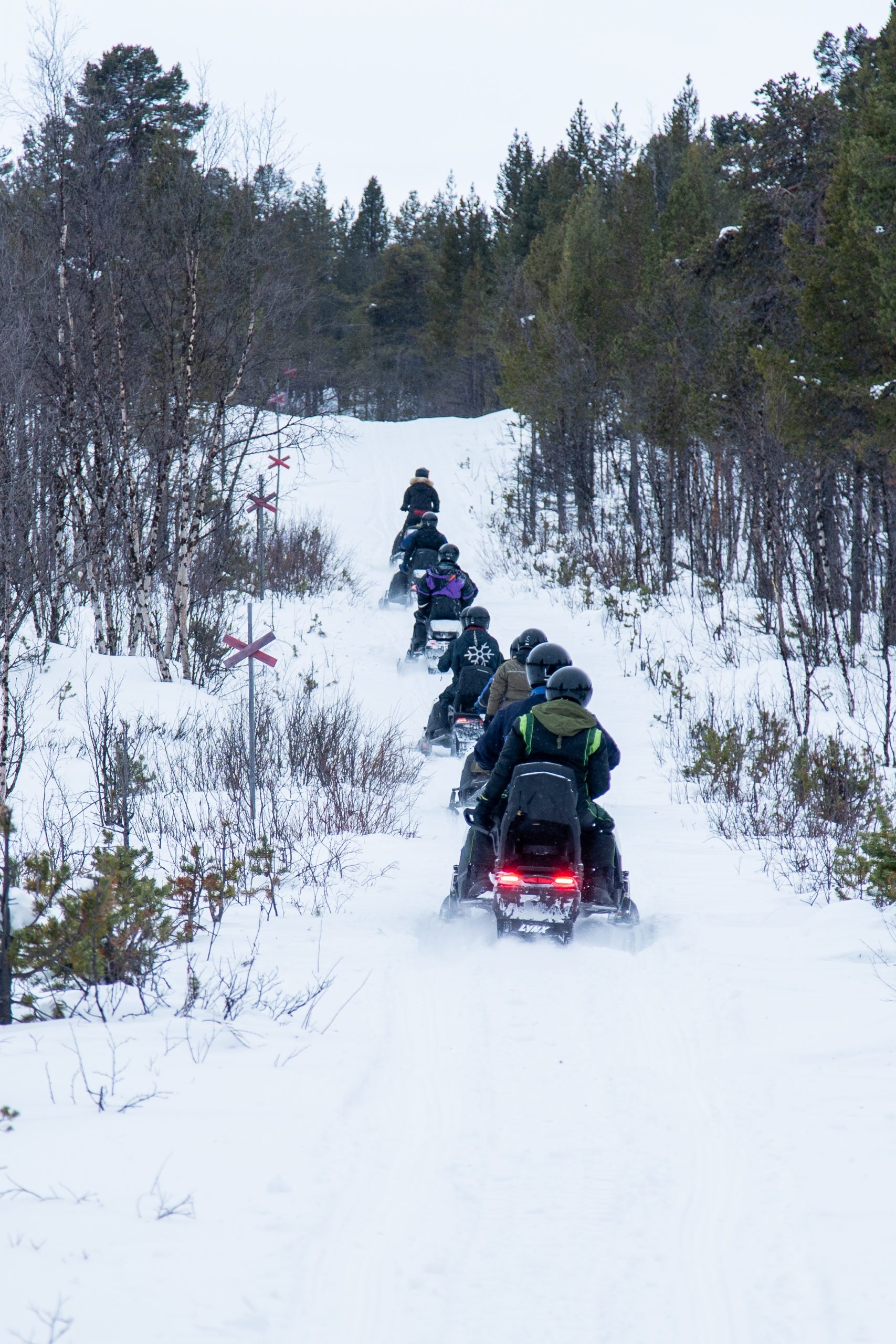 About Us - Team Reeds